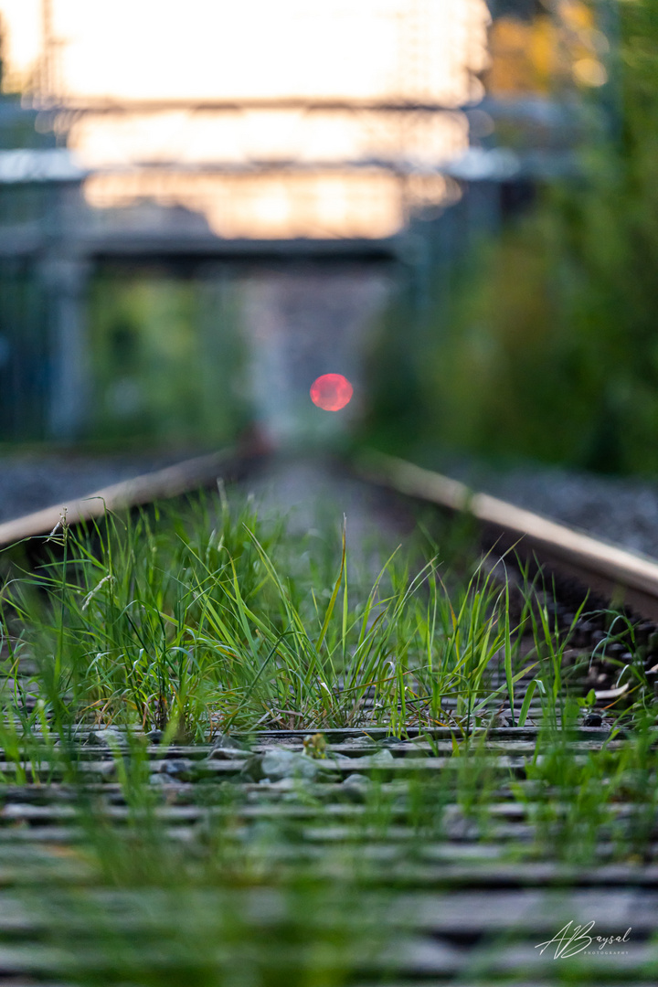 Gleise Foto & Bild | gleise, eisenbahn, verkehr & fahrzeuge Bilder auf ...
