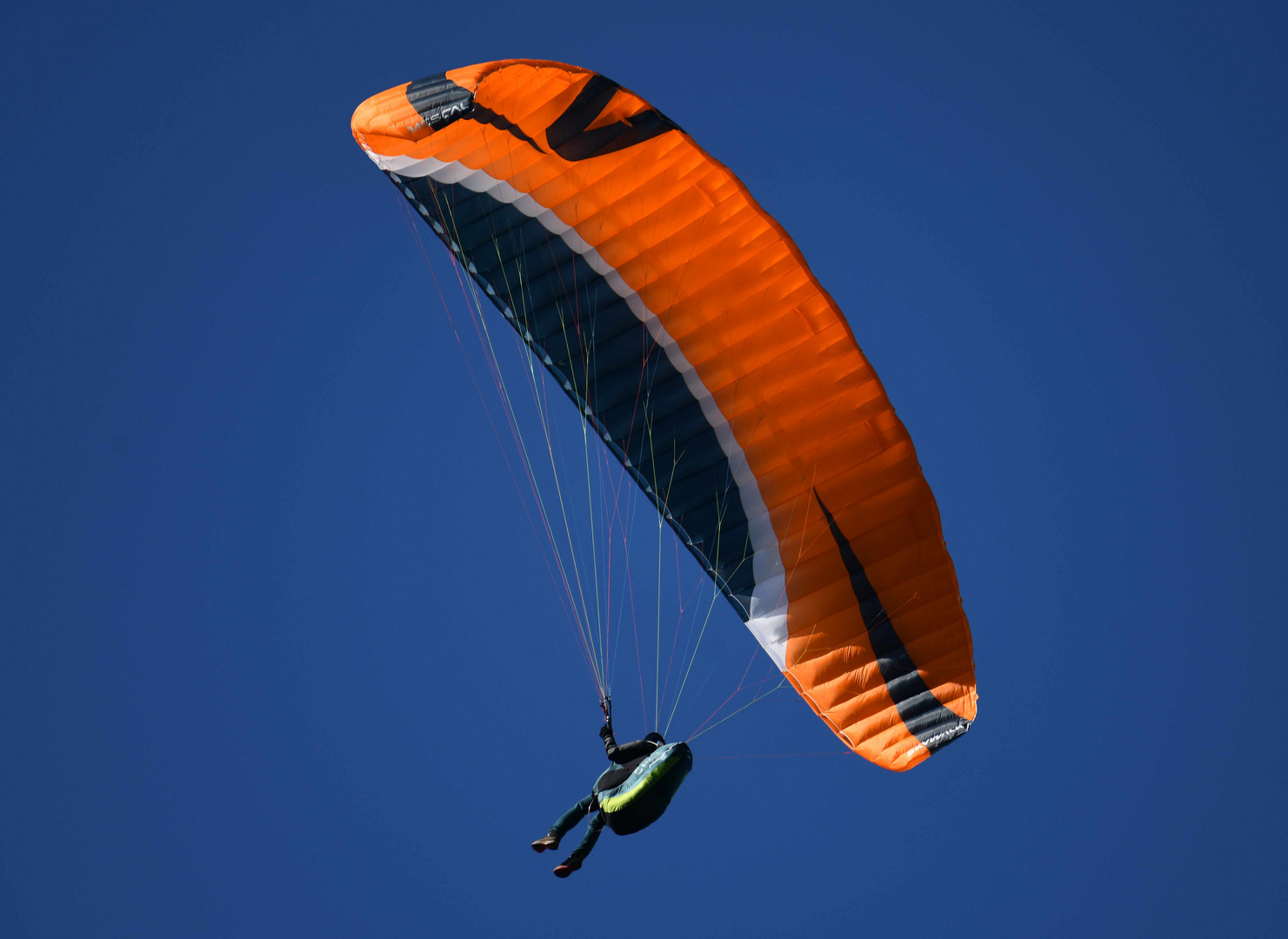 Gleitschirm beim Landeanflug Foto & Bild | menschen Bilder auf ...