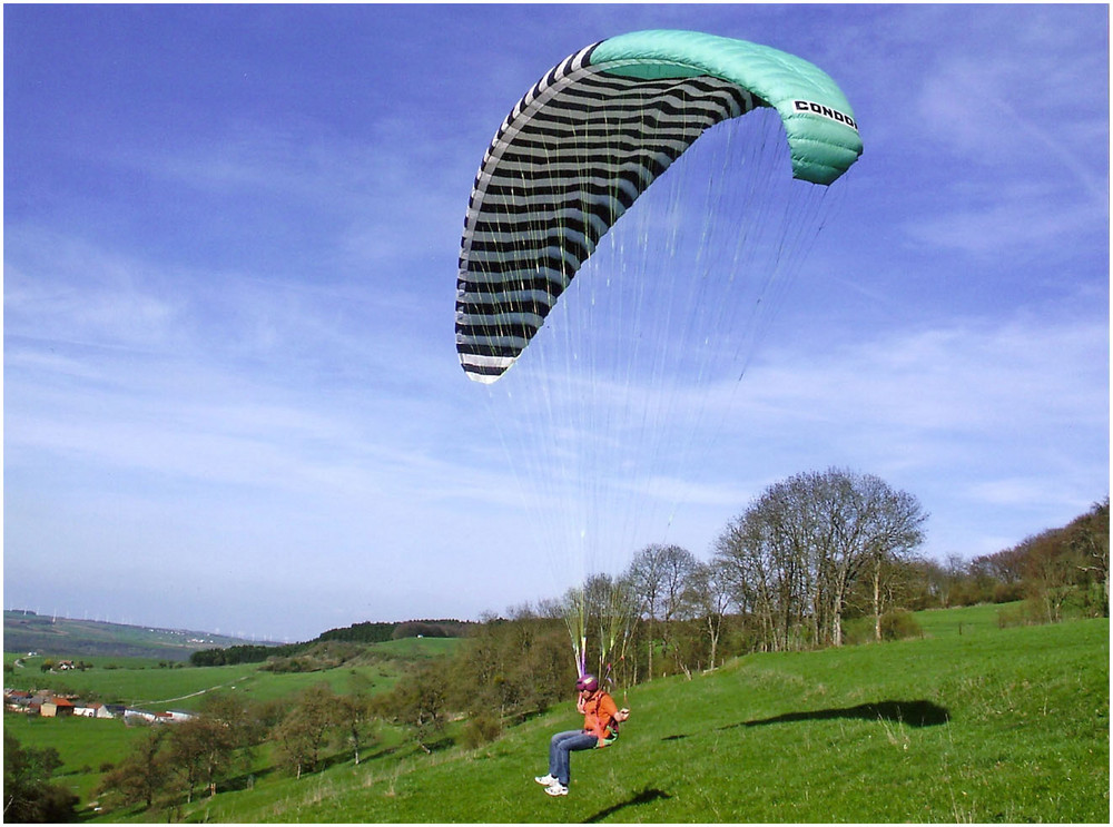 Gleitschirmfliegen in Eppeldorf Foto & Bild | sport, flugsport ...