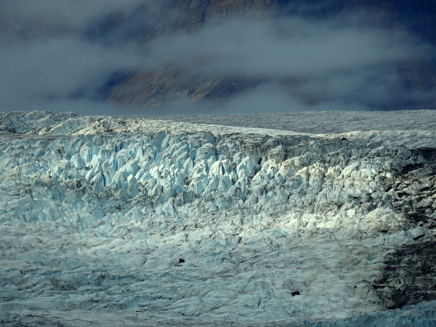 gletscher in Ostgrönland in der abendsonne Foto & Bild | landschaft ...