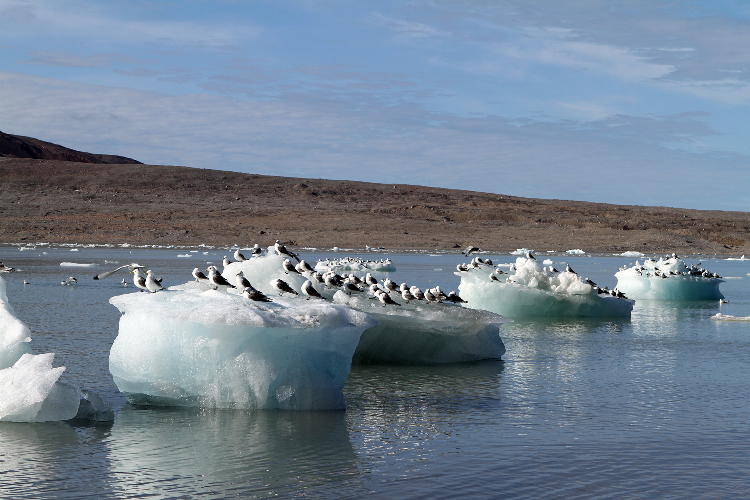 Gletscherabbrüche vom 14.Juli-Gletscher Foto & Bild | arctic, poles ...