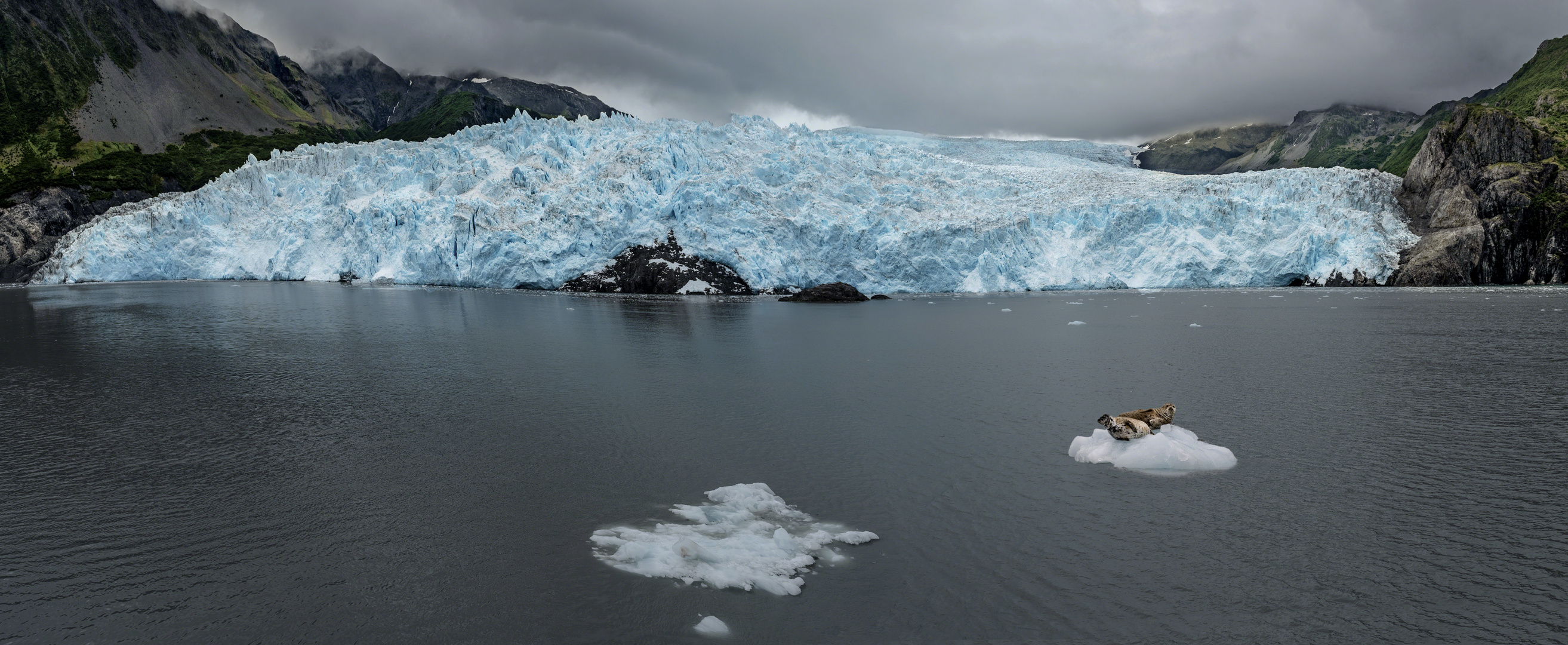 Gletscherzunge am Aialik Glacier in Alaska Foto & Bild | north america ...