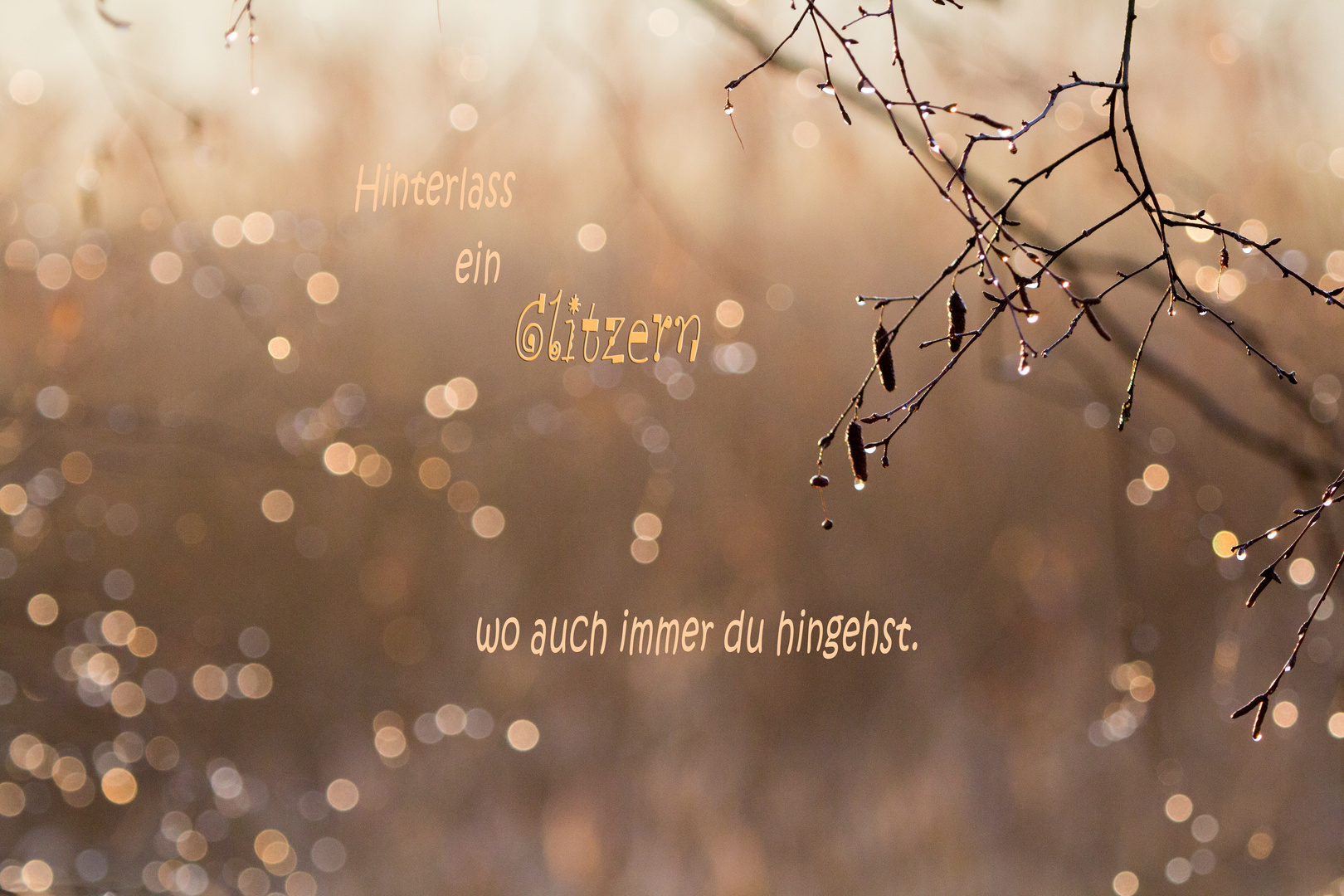 Glitzern Foto & Bild | auswahl portfolio, spezial, winter Bilder auf fotocommunity