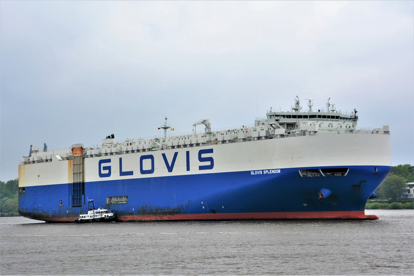 GLOVIS SPLENDOR Foto & Bild | bilder, fotos, nikon Bilder auf fotocommunity