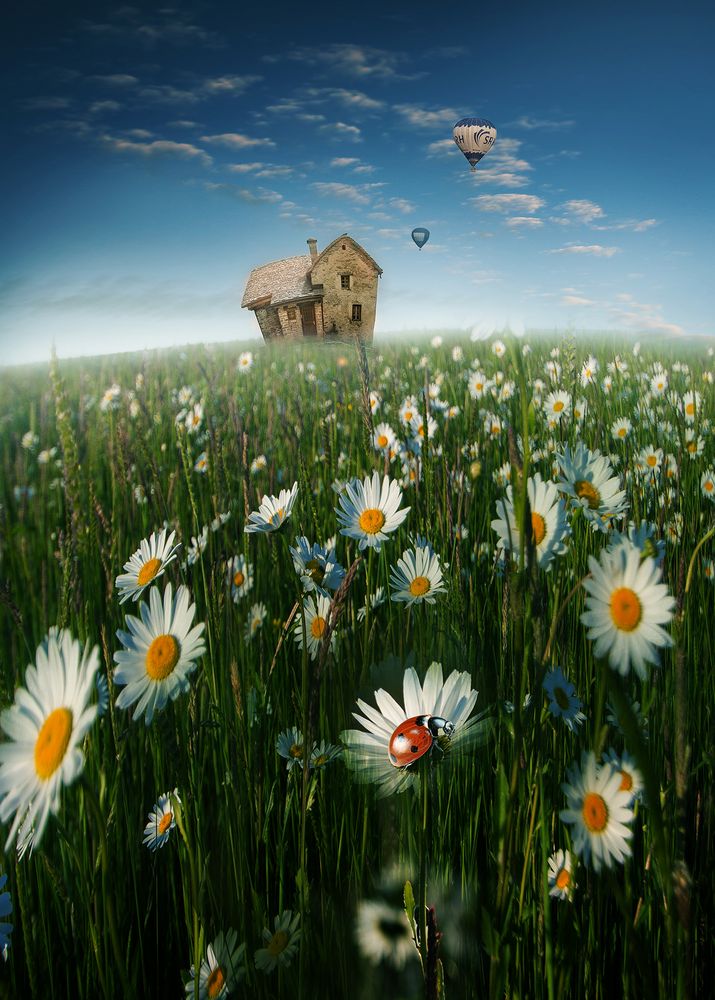 Glücks Moment Foto & Bild | fotomontage, fantasy mystery, wolken Bilder auf fotocommunity