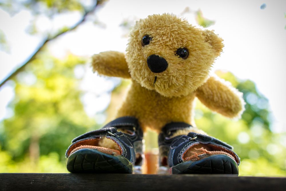 Go Teddy Go Foto & Bild | stillleben, spielzeug, stofftiere Bilder auf ...