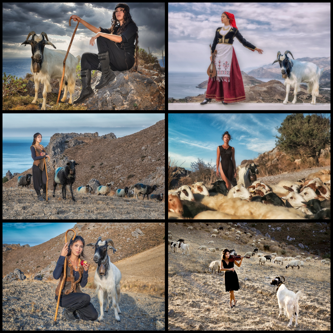 Goats and Sheep Calendar on Crete (January-June) Foto & Bild | art, dokumentation, outdoor ...