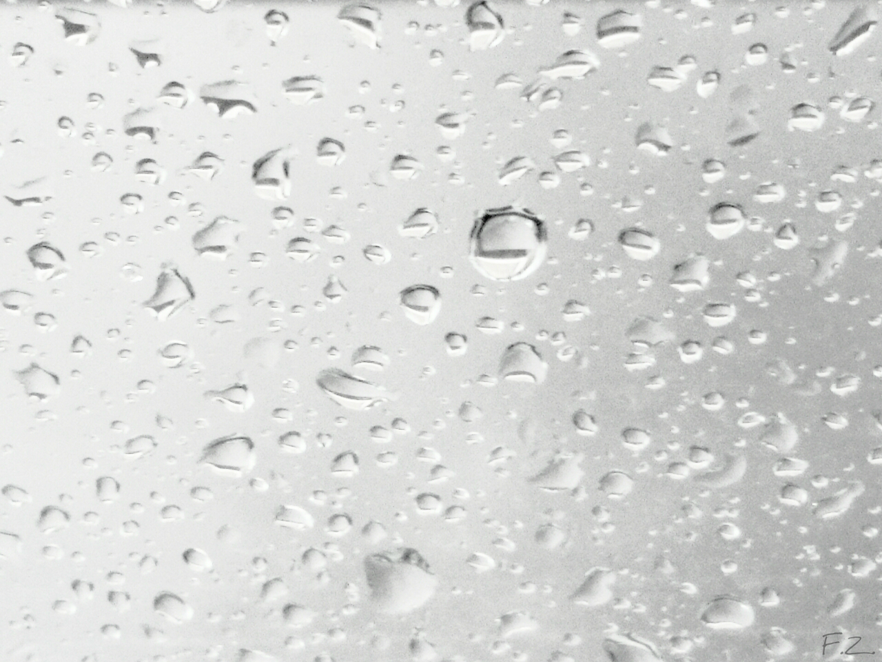 Gocce Foto % Immagini| le stagioni dell'anno, natura, temi Foto su ...