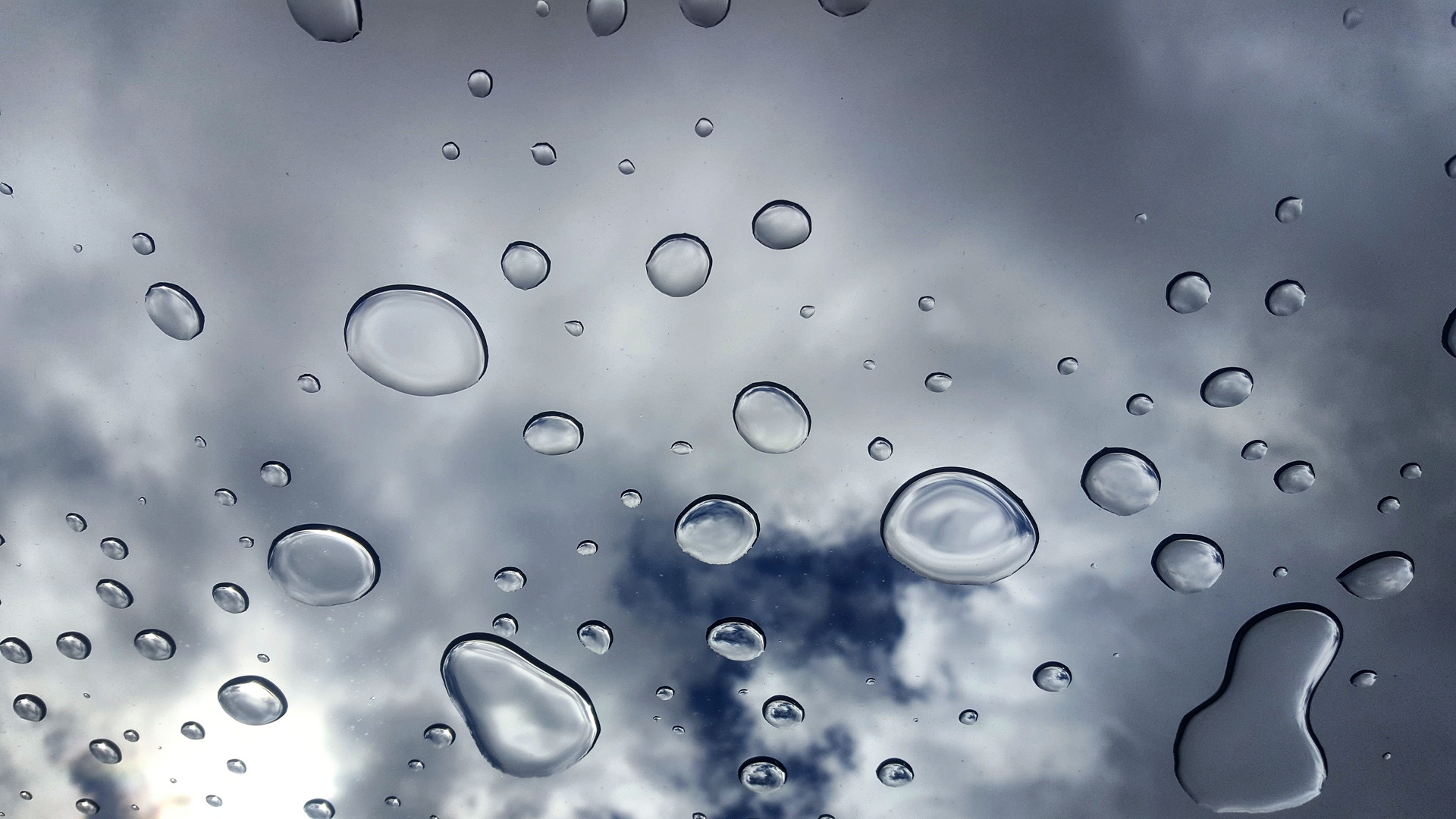 Gocce Foto % Immagini| macro e close up, altre macro, fotos Foto su ...