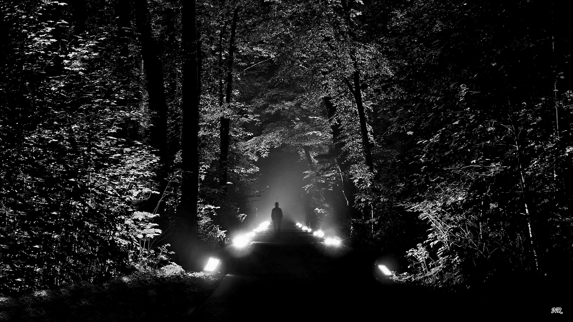 Going Backwards Foto & Bild | people, wald, outdoor Bilder auf ...