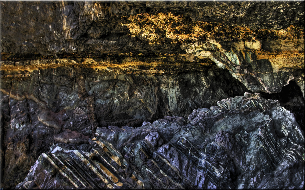 Goldader Foto & Bild | europe, canary islands die kanaren, spain Bilder ...