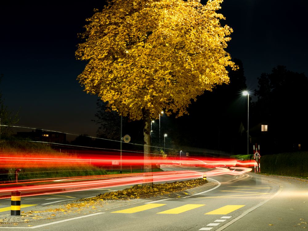 Goldbaum Foto & Bild | nacht, natur, herbst Bilder auf fotocommunity