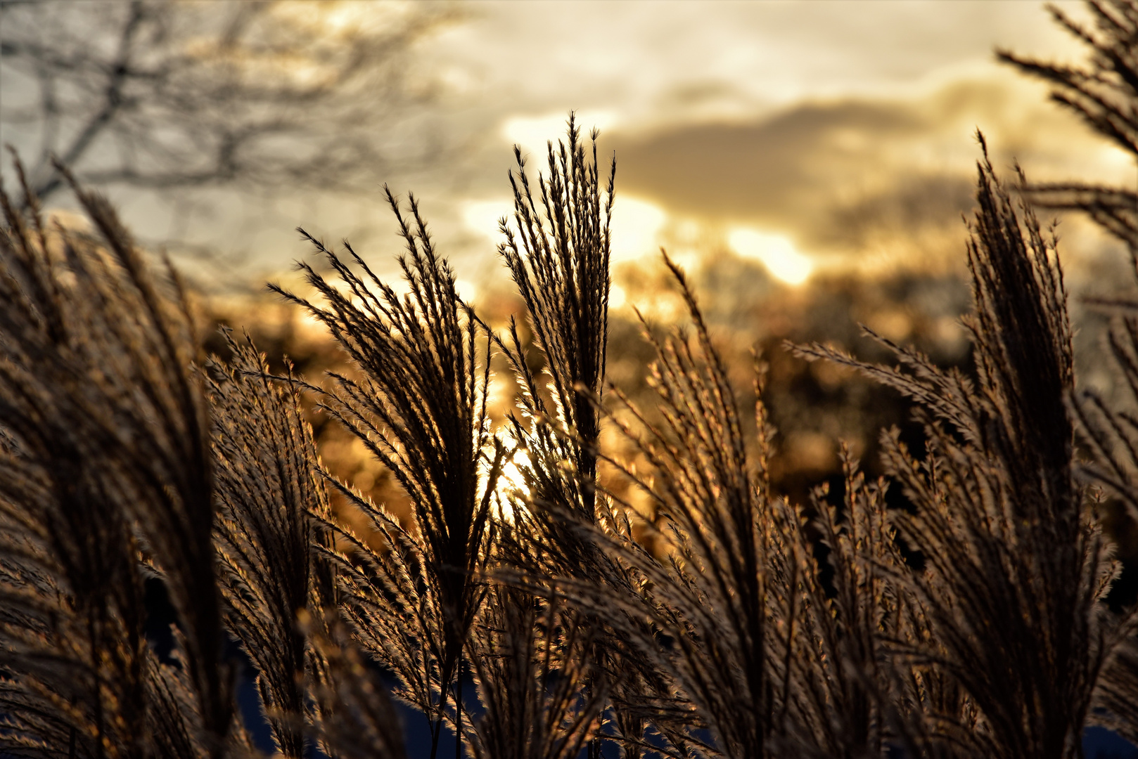 Golden Foto & Bild | world, sonnenuntergang, outdoor Bilder auf ...