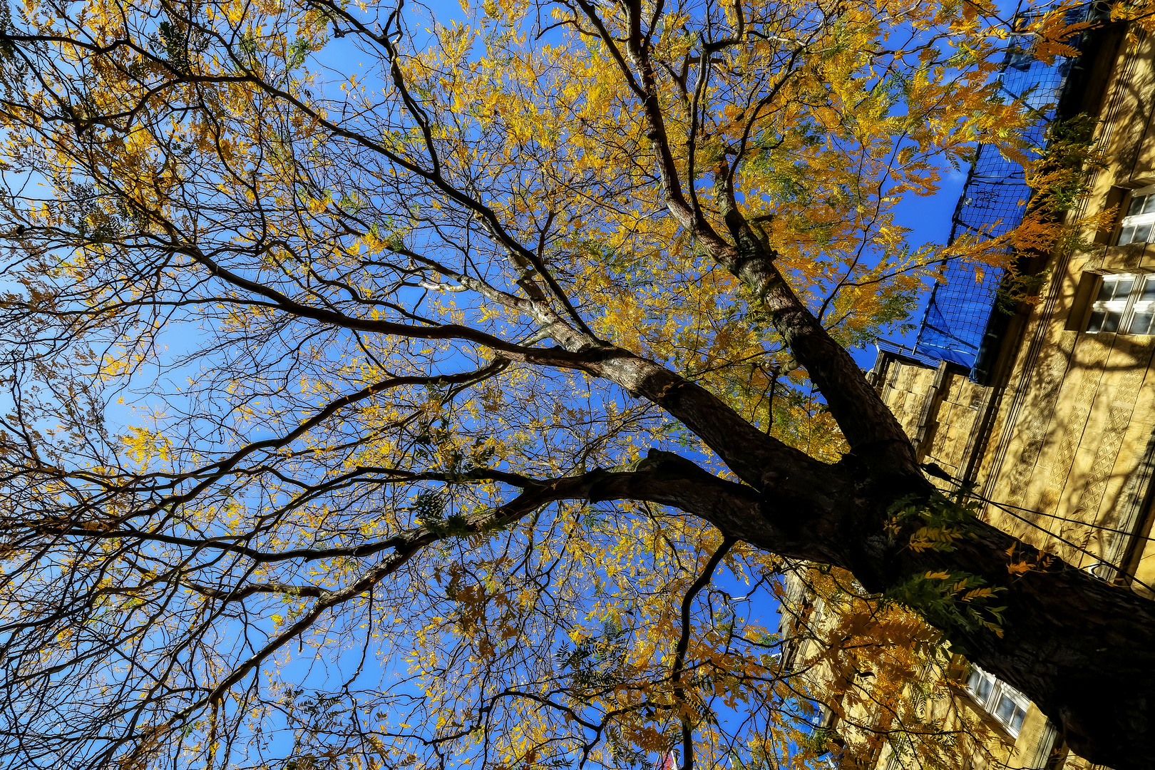 Golden Day Foto & Bild | art, spezial, outdoor Bilder auf fotocommunity