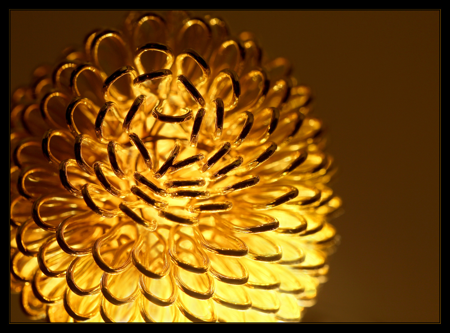 Golden Light Foto & Bild | nah- & makro, techniken, aufnahme-techniken Bilder auf fotocommunity