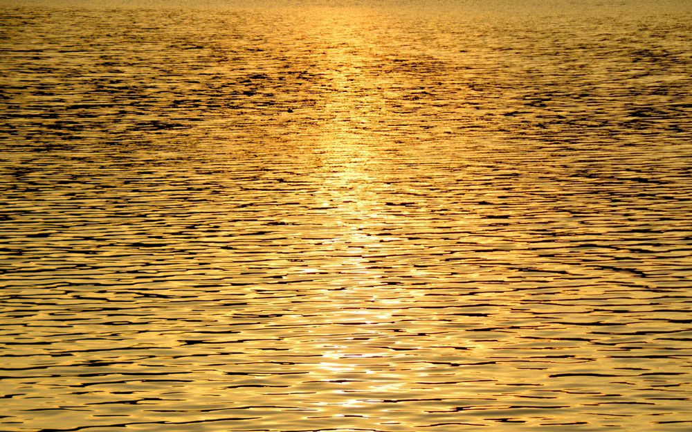 Golden water Foto & Bild | landschaft, sonnenaufgänge, projekte Bilder ...