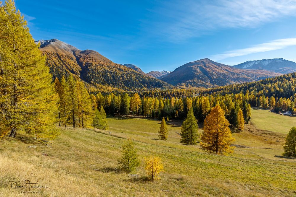 Goldener Herbst Foto & Bild | landschaft, jahreszeiten, herbst Bilder auf fotocommunity