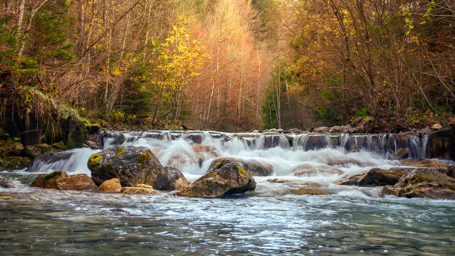 Goldener Herbst Foto & Bild | landschaft, jahreszeiten, herbst Bilder auf fotocommunity