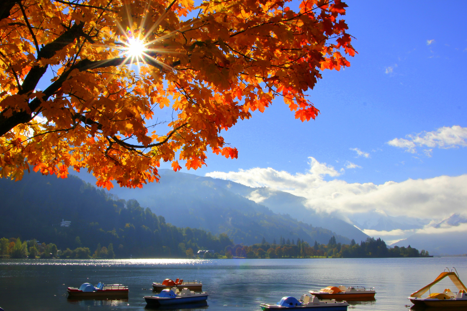 goldener Herbst Foto & Bild | jahreszeiten, herbst, landschaften Bilder auf fotocommunity