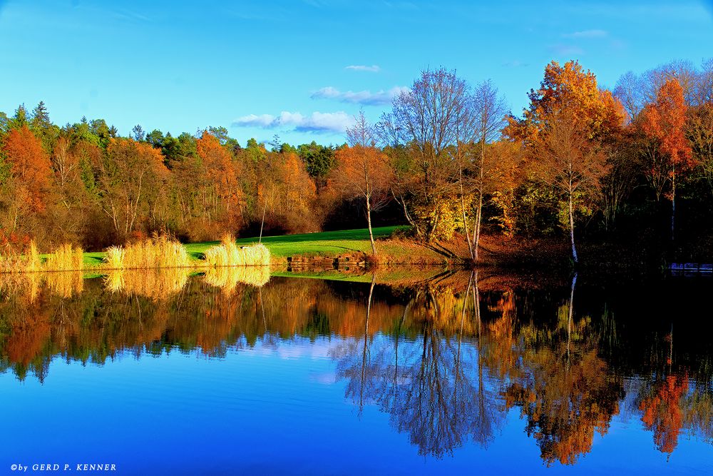 Goldener Herbst _:_ Finale Foto & Bild | landschaft, jahreszeiten, herbst Bilder auf fotocommunity