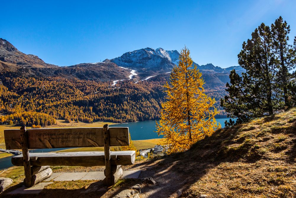 Goldener Herbst im Engadin Foto & Bild | monatswettbewerbe natur, 2021 ...