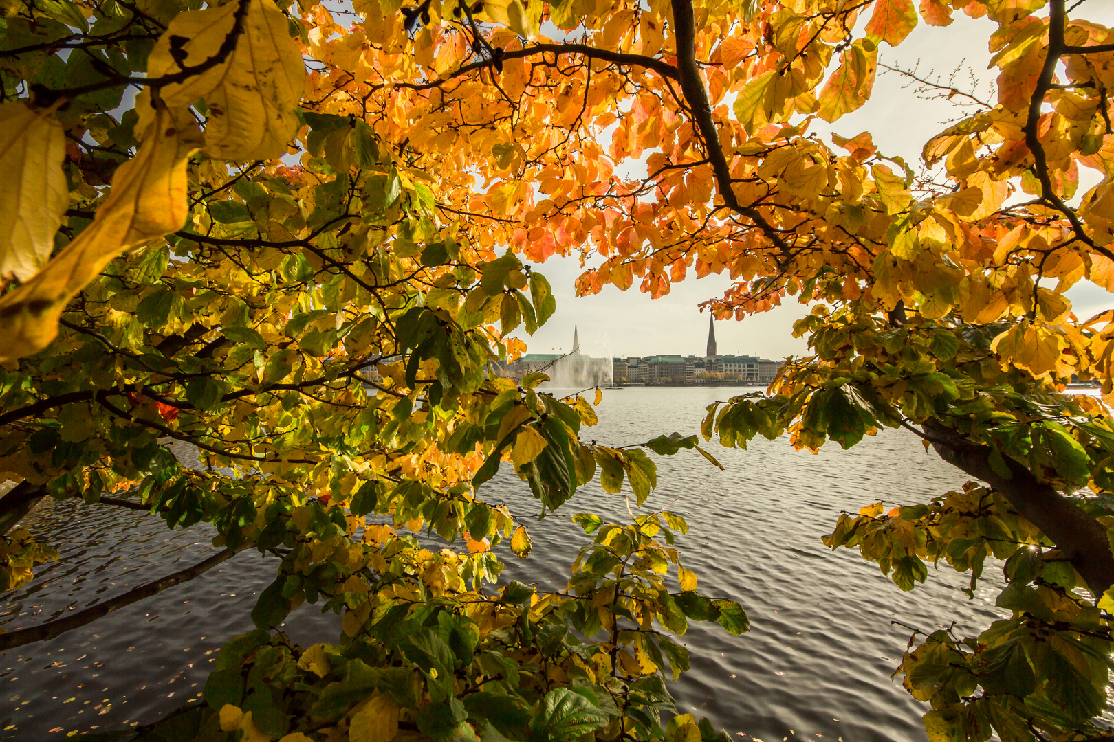 Goldener Oktober Foto & Bild | jahreszeiten, herbst, hamburg Bilder auf ...