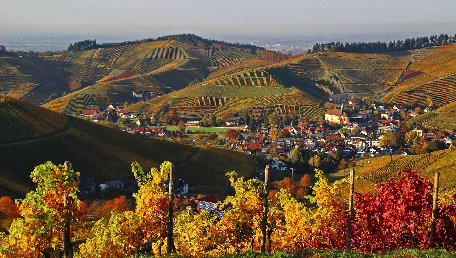 Goldener Oktober Foto & Bild | deutschland, europe, baden- württemberg ...