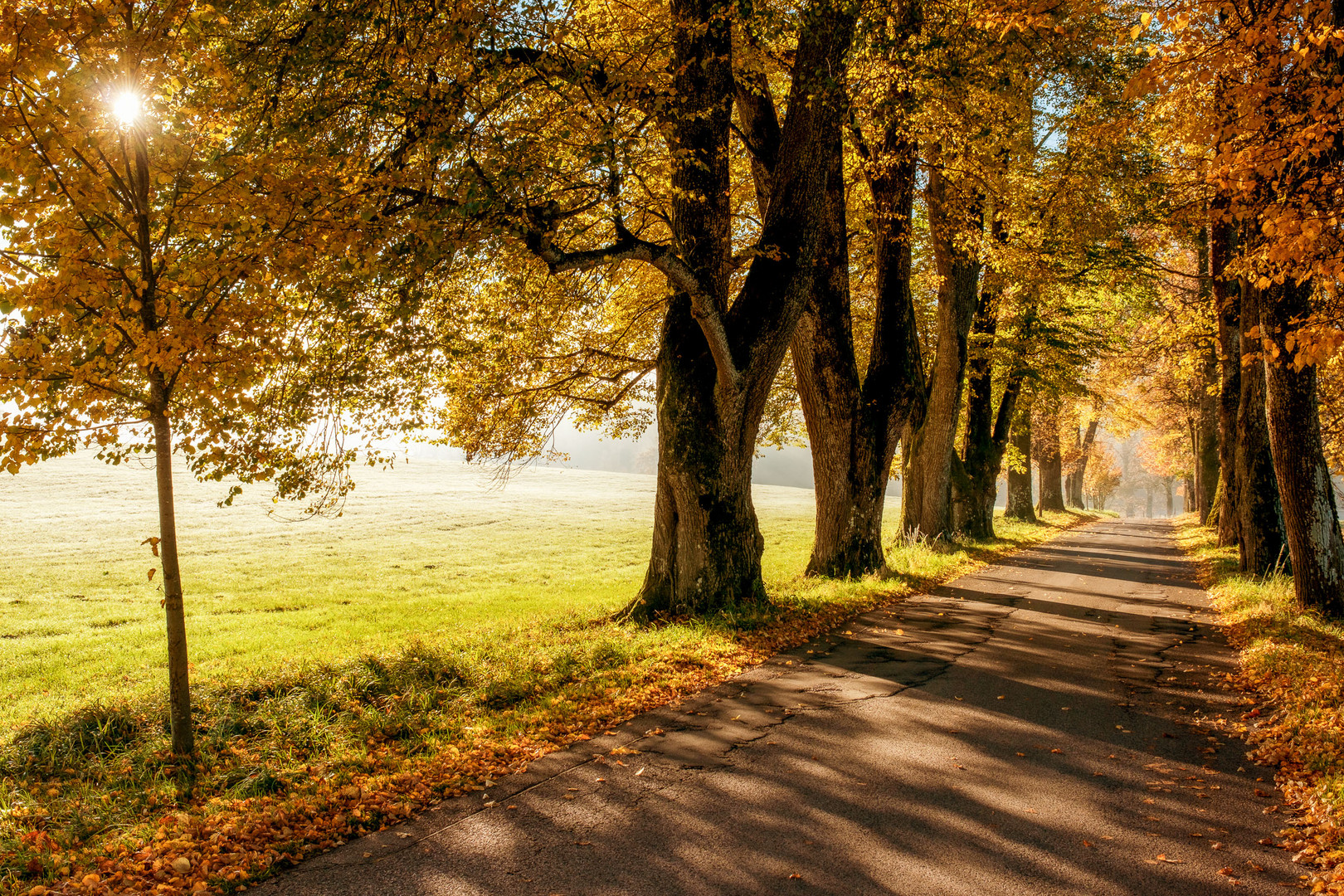 Goldener Oktober V Foto & Bild | deutschland, europe, bayern Bilder auf ...