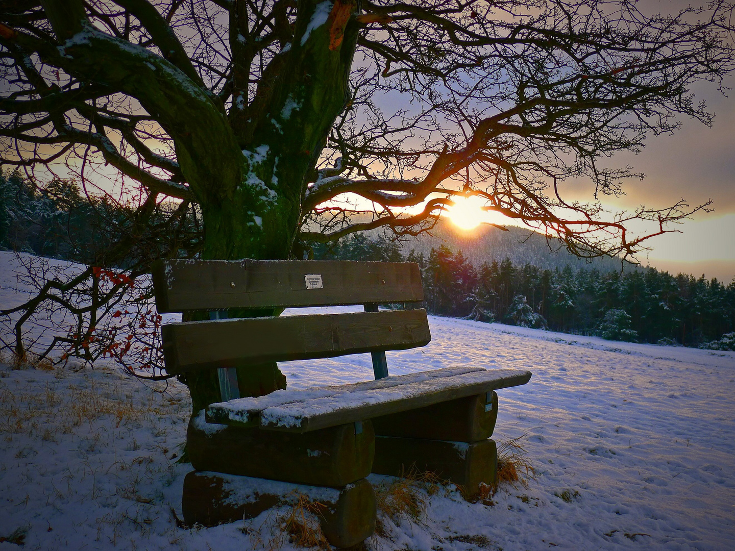 Goldener Winterabend Foto & Bild | jahreszeiten, winter, natur Bilder auf fotocommunity
