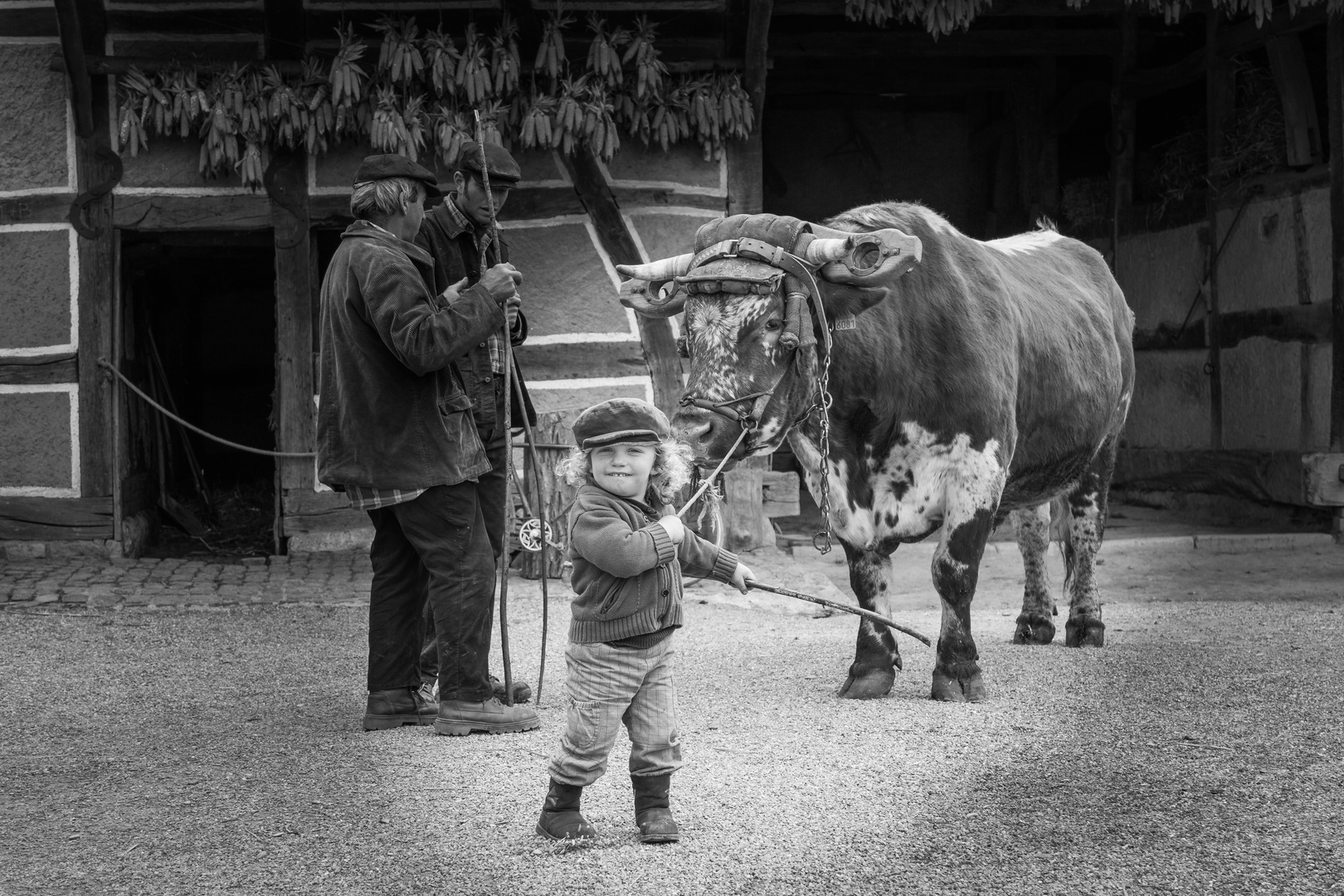 -- Goliath... -- Foto & Bild | france, world, frankreich Bilder auf ...