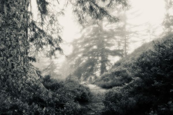 Wetter Bilder & Fotos