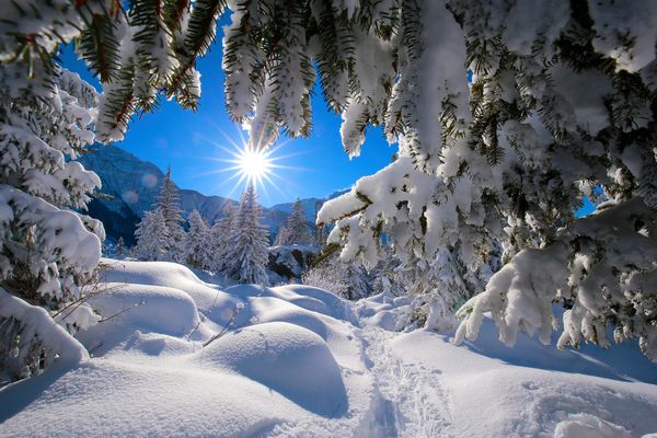 peter tresch - Fotos & Bilder - Fotograf aus Bristen, Schweiz ...