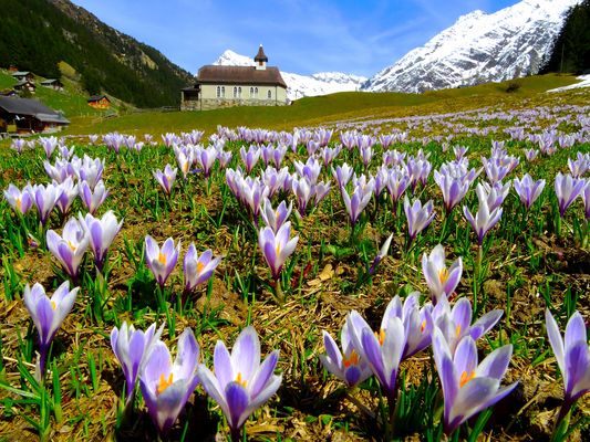 peter tresch - Fotos & Bilder - Fotograf aus Bristen, Schweiz ...