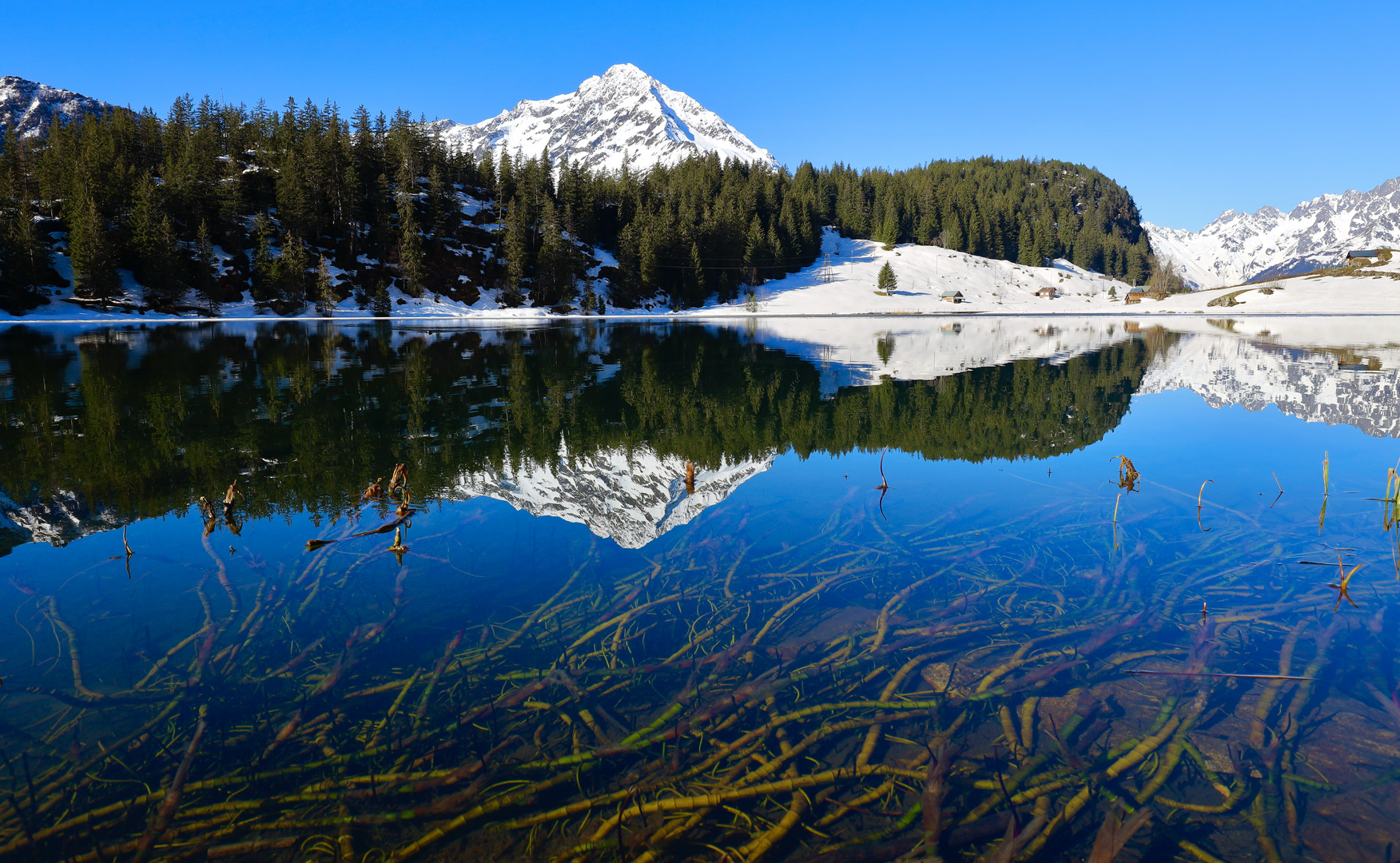 Golzernsee Foto & Bild | landschaft, jahreszeiten, frühling Bilder auf ...