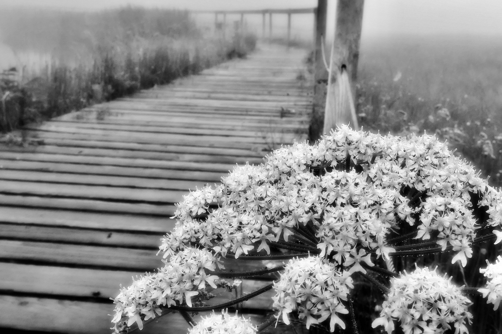 Golzernsee,Maderanertal Foto & Bild | landschaft, berge, wege und pfade ...