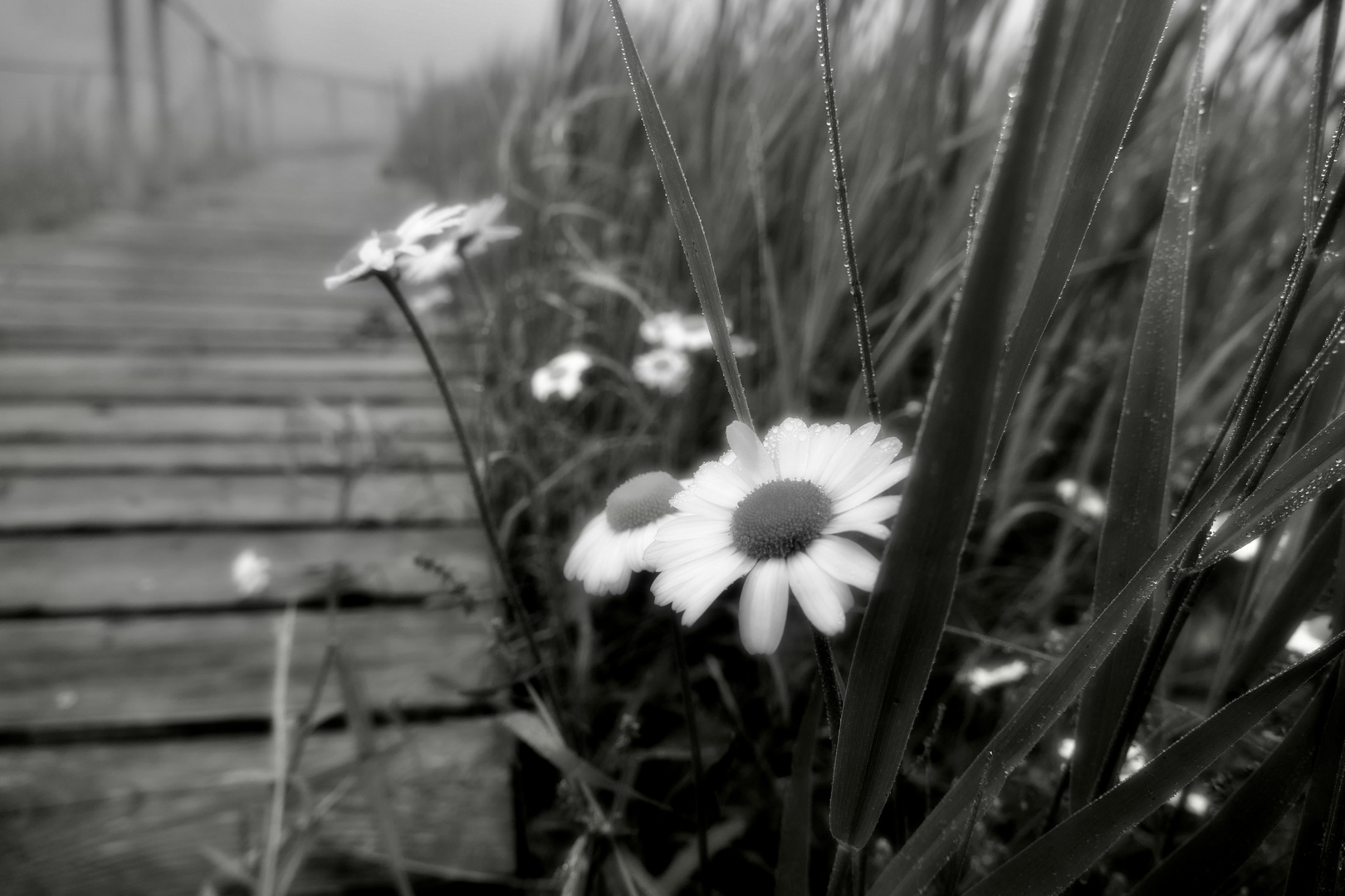 Golzernsee,Maderanertal Foto & Bild | landschaft, berge, zäune & co ...