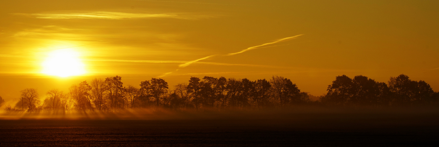 Good Morning Germany. Foto & Bild | landschaft, sonnenaufgänge, Äcker ...