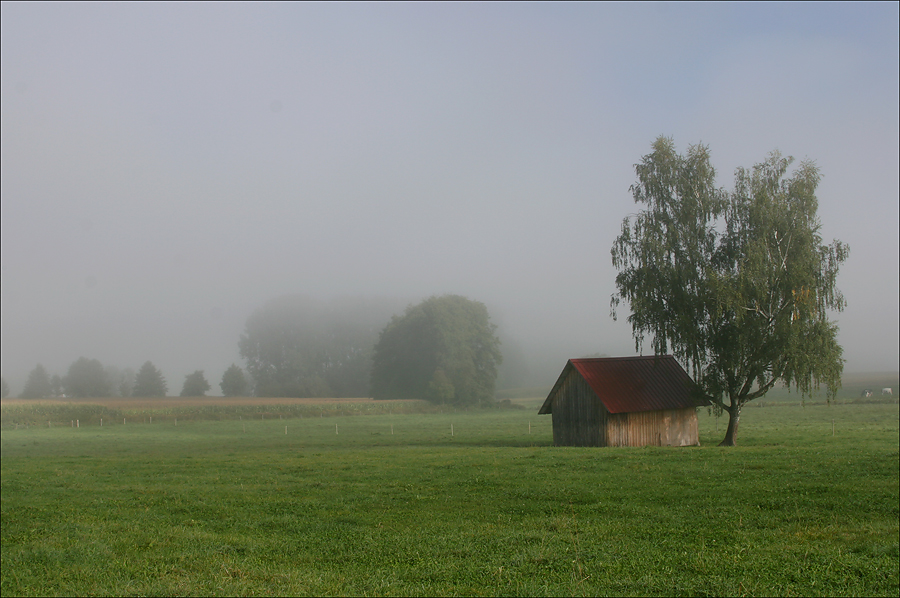 Good Morning Germany Foto & Bild | landscape, fields & meadows, nature ...