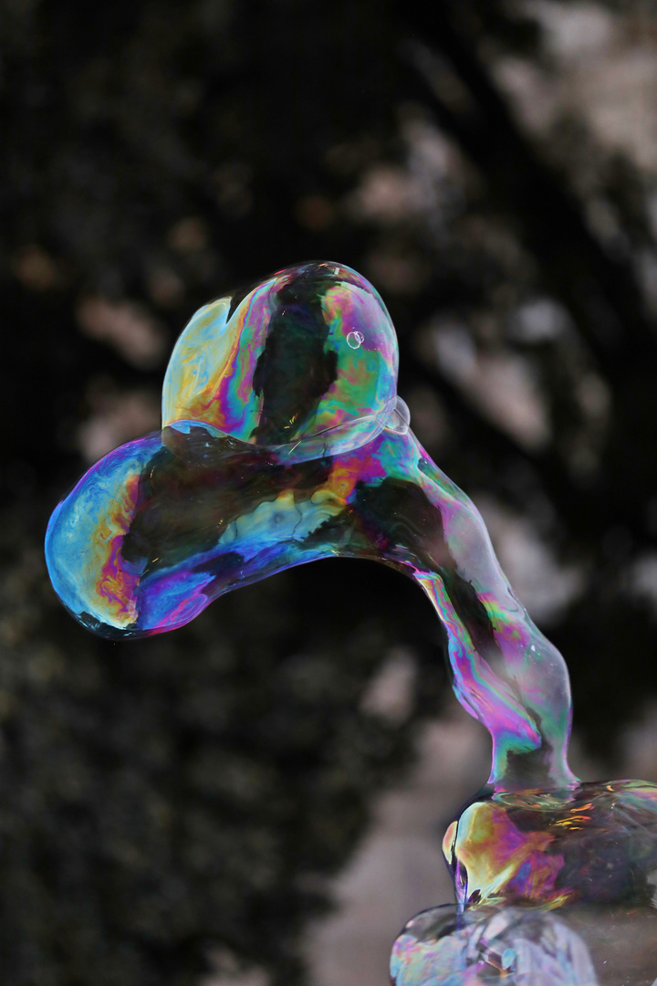 Goofy Bubble Foto & Bild | europe, abstraktes, spain Bilder auf ...