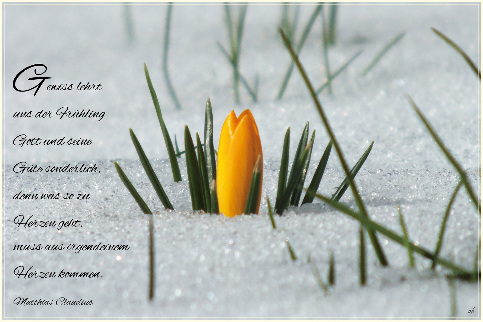 Gottes Güte Foto & Bild | jahreszeiten, frühling, verschiedenes Bilder ...