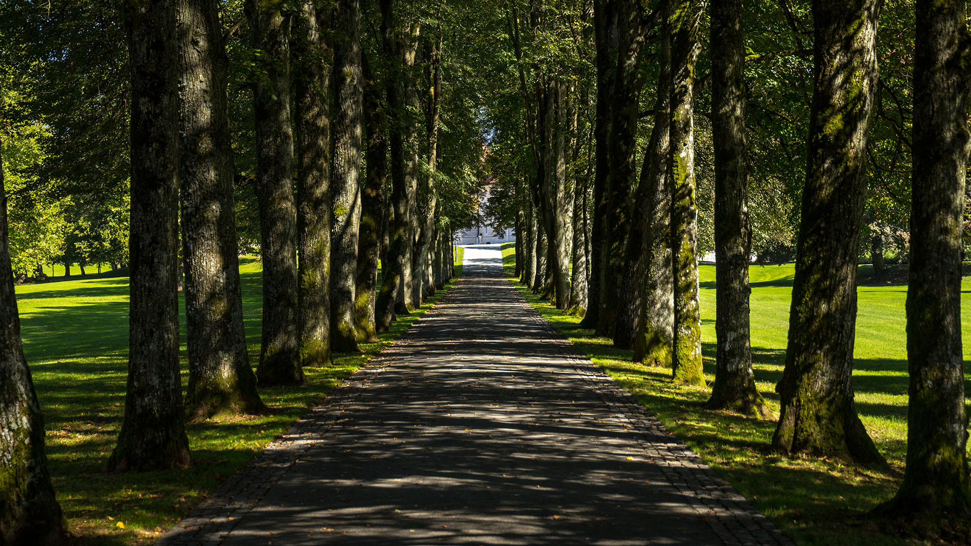 Grad Brdo Foto & Bild | europe, balkans, slovenia Bilder auf fotocommunity