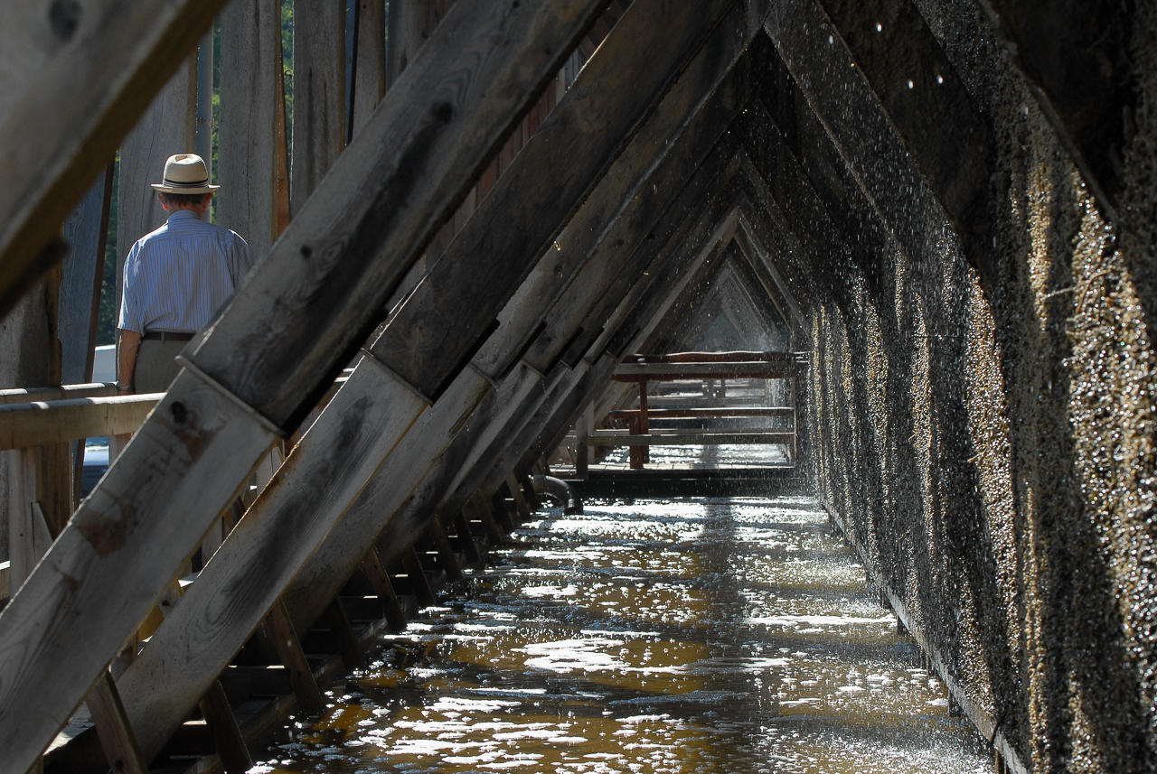 Gradierwerk II Foto & Bild | deutschland, europe, gradierwerk Bilder ...