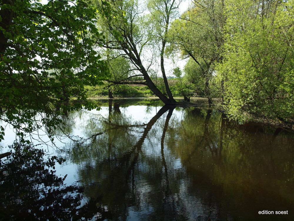 Gräfte Haus Nehlen Berwicke hiddden place Foto & Bild | deutschland ...