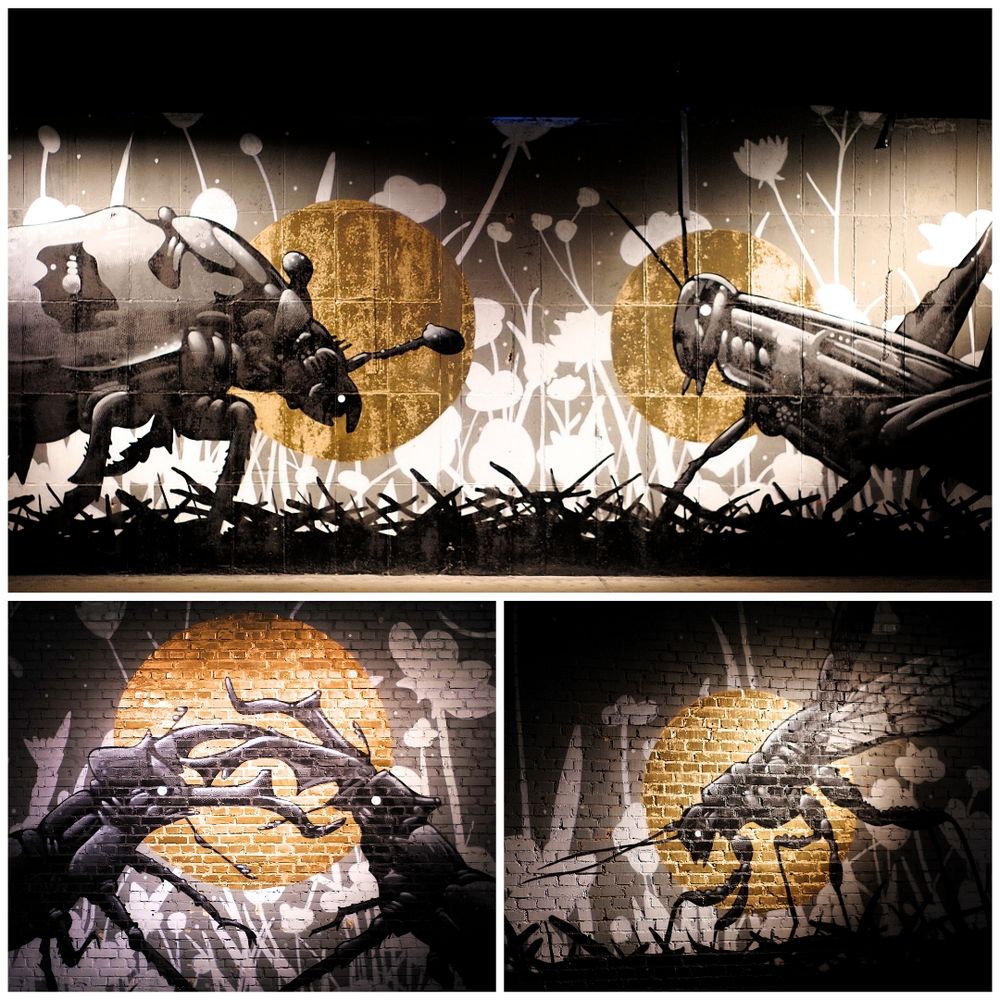 Grafitti Collage Foto & Bild | bilder, fotos, natur Bilder auf ...