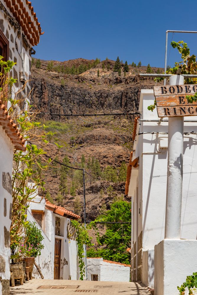 Gran Canaria 2021 Foto & Bild | europe, canary islands die kanaren ...