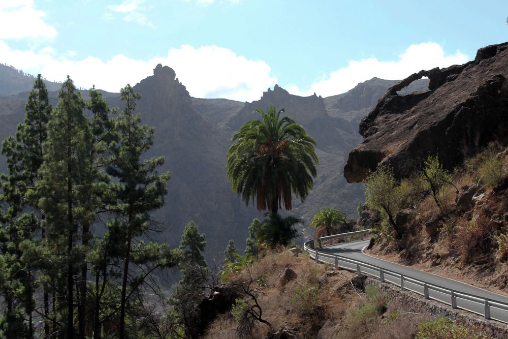 Gran Canaria Foto & Bild | europe, canary islands die kanaren, spain ...