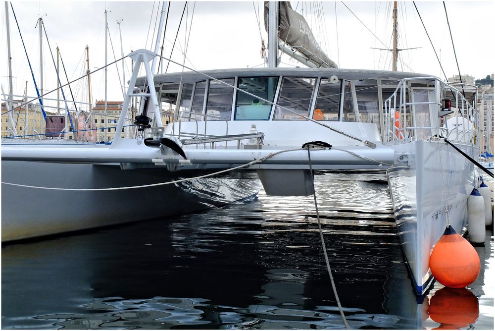 Grande gueule ! photo et image | europe, france, provence-alpes-côte d ...