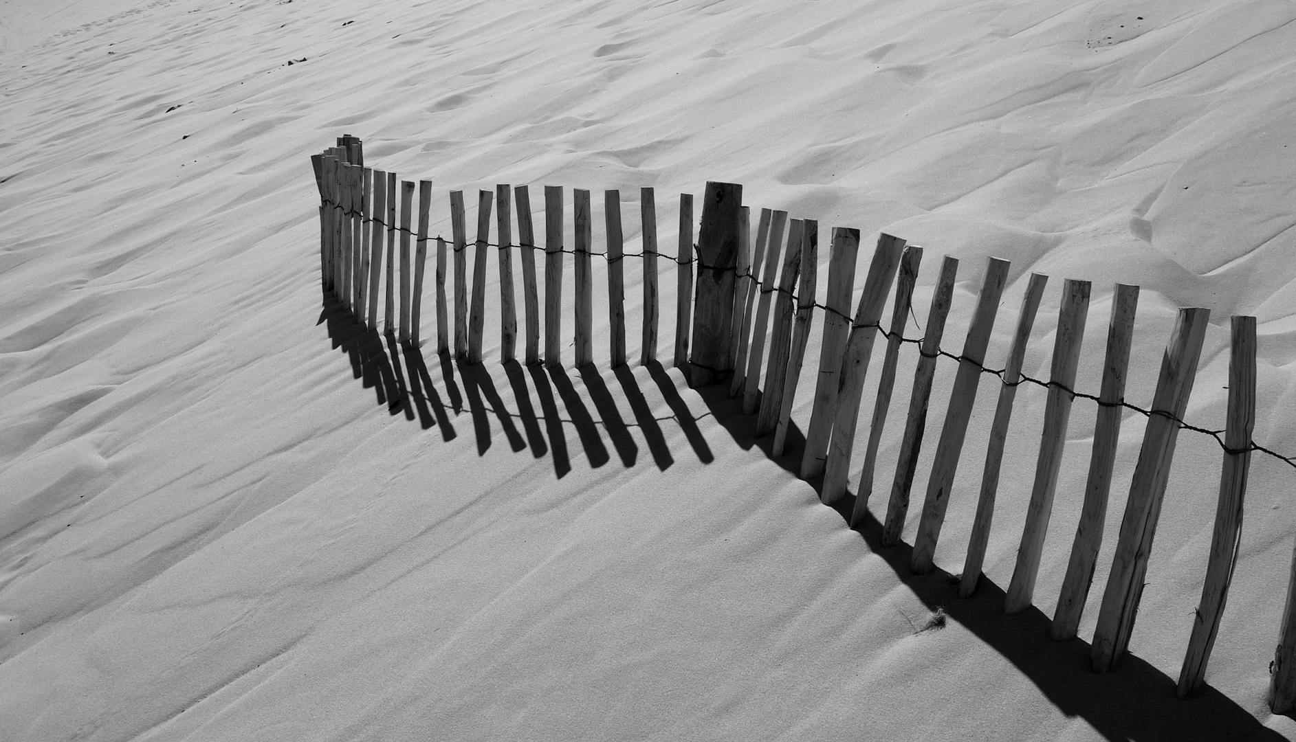 Graphisme photo et image | noir et blanc, france, nature Images ...