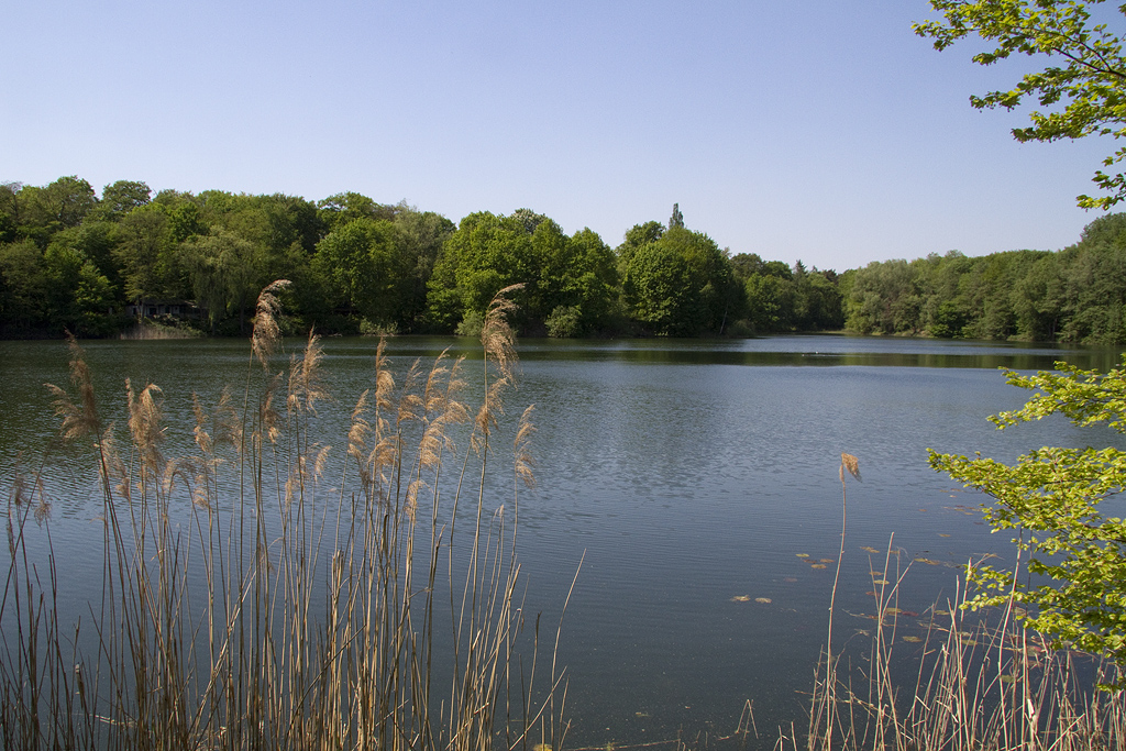 Gratenpoeter See Foto & Bild | landschaft, bach, fluss & see, flüsse ...