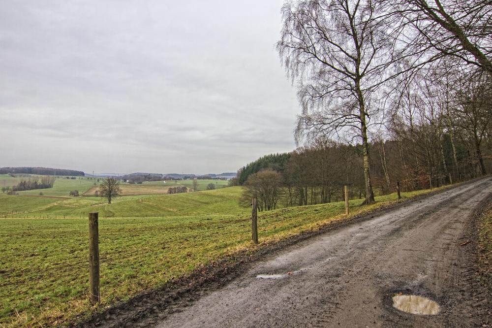 Grau und regnerisch Foto & Bild | landschaft, Äcker, felder & wiesen ...